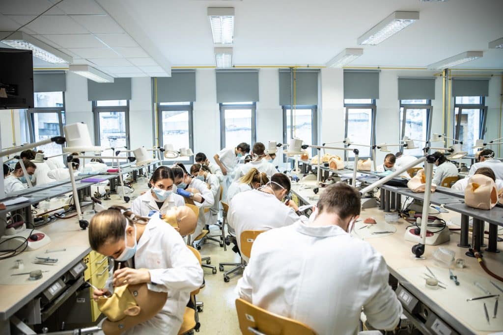 Dentistry – For Prospective Students