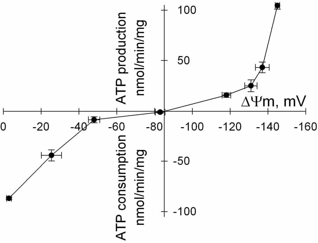 ANT activity: A Kinetic Assay of Mitochondrial ADP-ATP Exchange Rate ...