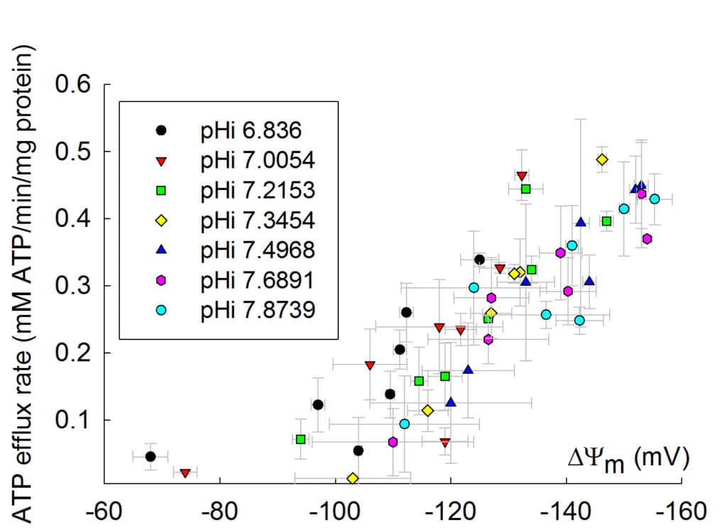 ANT activity: A Kinetic Assay of Mitochondrial ADP-ATP Exchange Rate ...