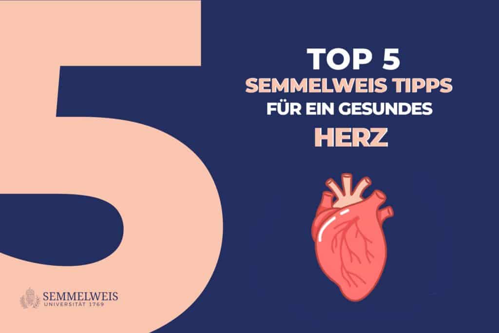 Top 5 Semmelweis Tipps für ein gesundes Herz – Deutschsprachiges Studium