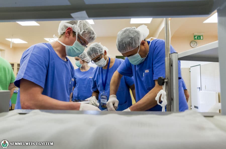 Dr. George Berci, Professor of Surgery, honorary doctor of the ...