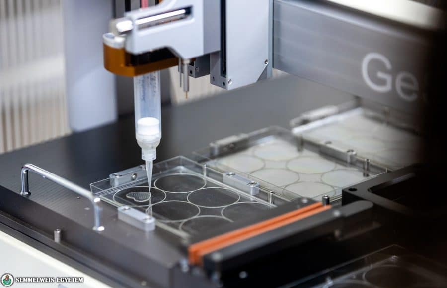 Semmelweis University – Medicine and Health Sciences