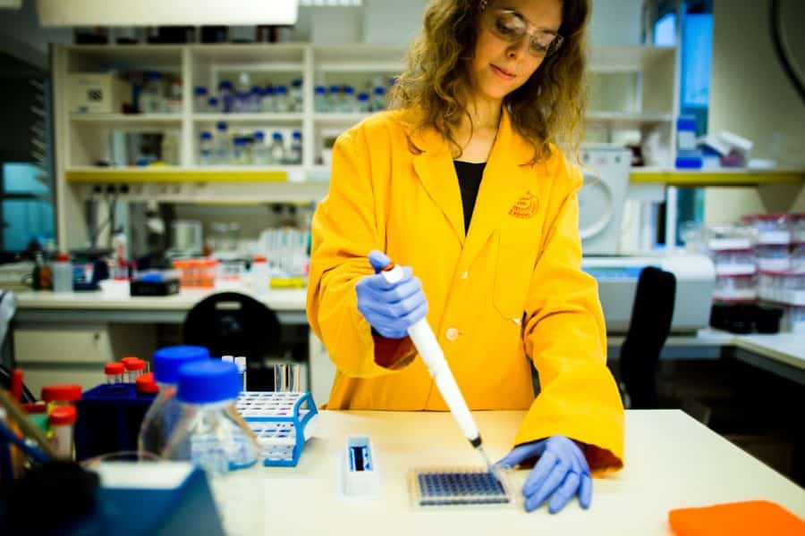 Faculty of Medicine – Semmelweis University