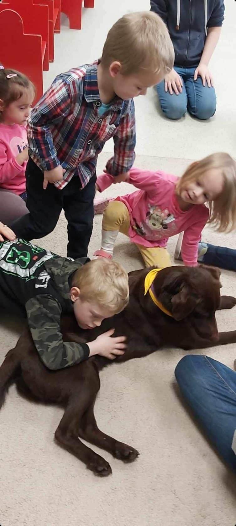 How animals can help us heal – Semmelweis University