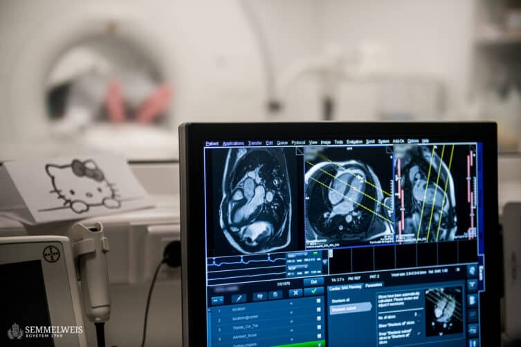 Semmelweis University – Medicine and Health Sciences