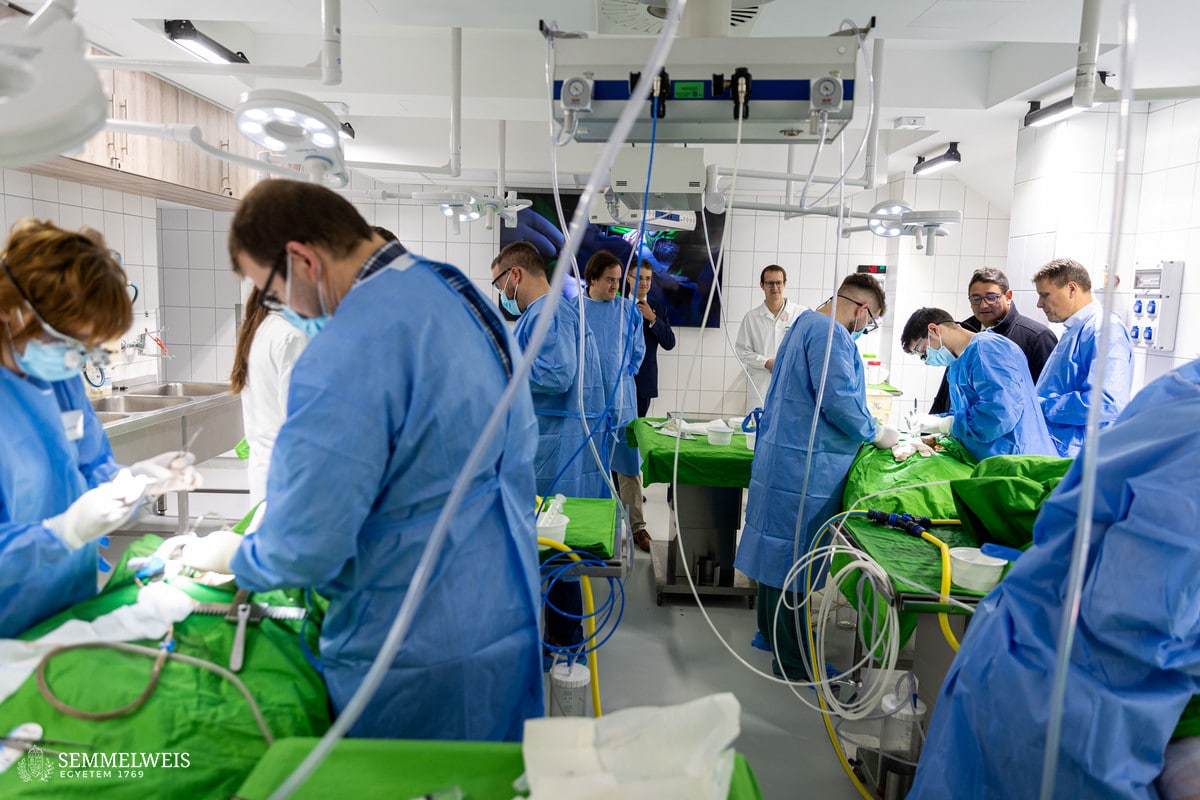 Research, development and innovation – Semmelweis University