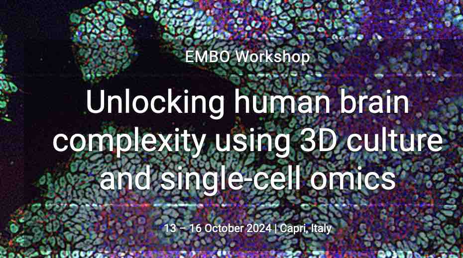 Capri – Neurobiology and Neurodegenerative Diseases Research Group