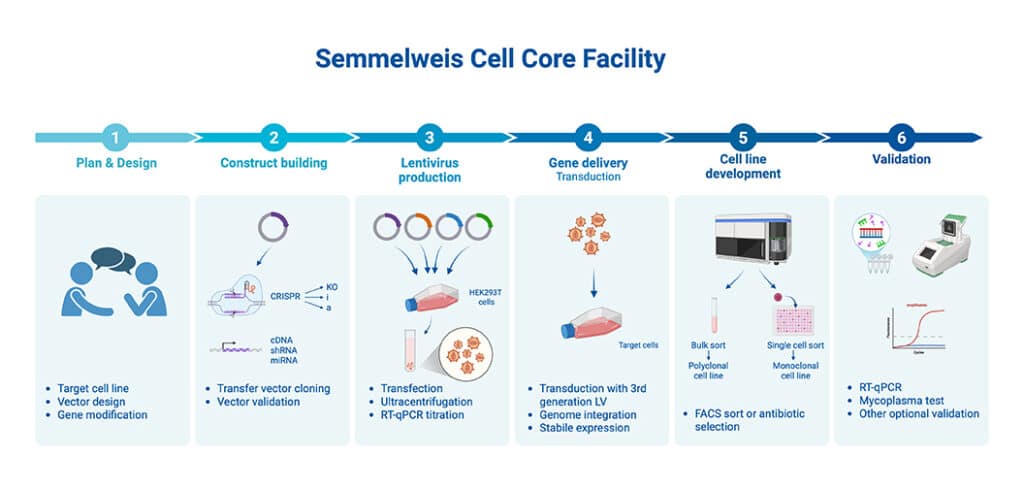 Cell Core – Neurobiology and Neurodegenerative Diseases Research Group