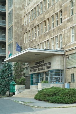 George Lewith professzor workshopja – Semmelweis Hírek