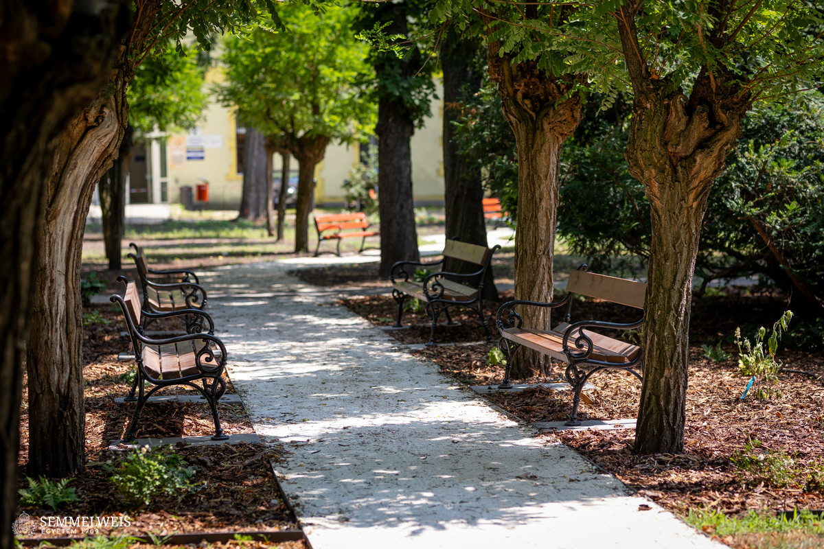 Merényi Klinikai Tömbigazgatóság – Semmelweis Egyetem