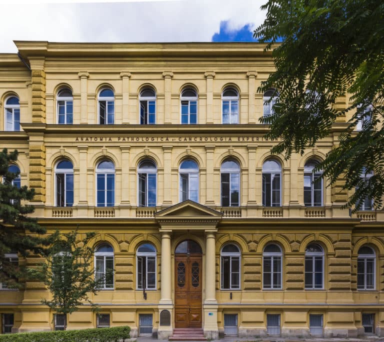 Department of Pathology | and Experimental Cancer Research – Semmelweis ...