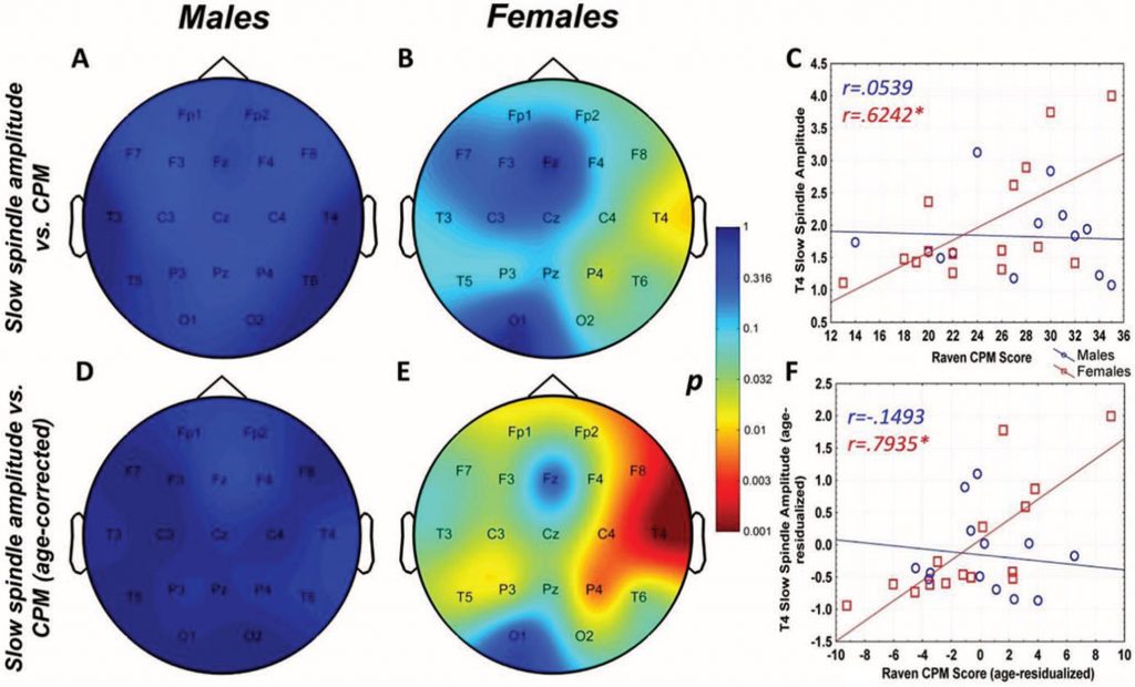 Raven Colored Progressive Matrices – Psychophysiology and Chronobiology ...