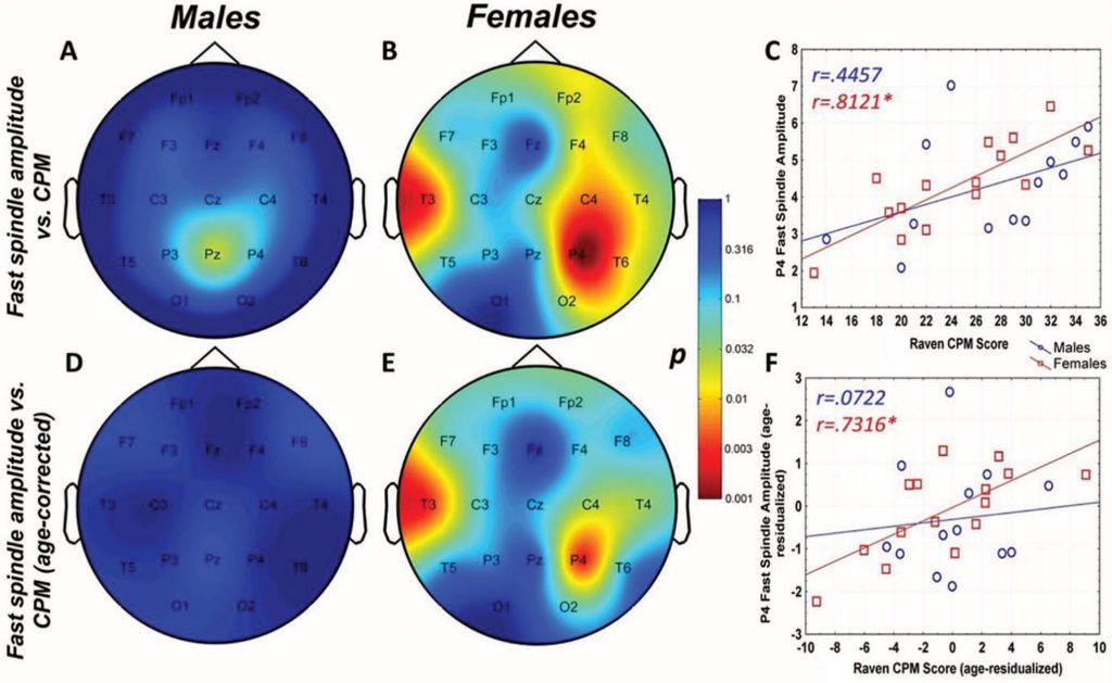 Raven Colored Progressive Matrices – Psychophysiology and Chronobiology ...
