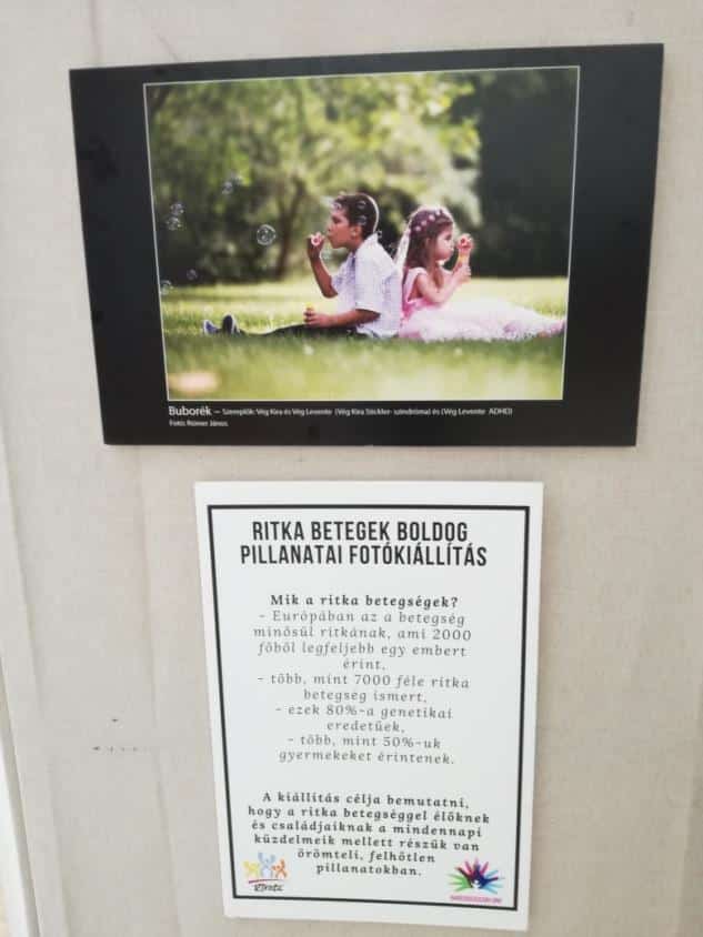 Kiállítás a Ritka Betegségek Világnapja alkalmából – Rehabilitációs Klinika