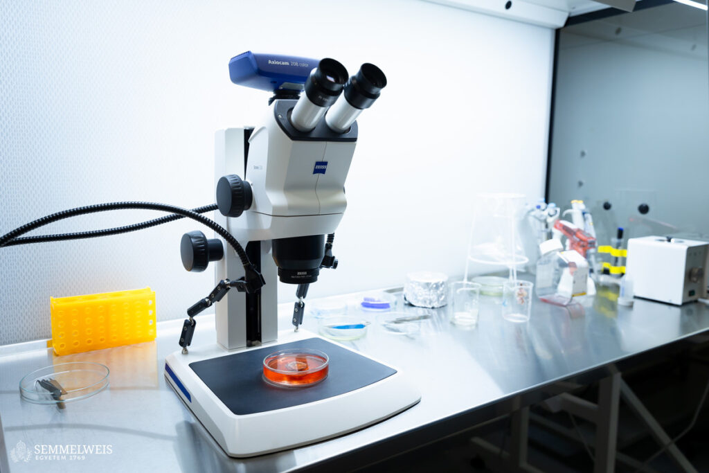 Retina Model System – Retina Laboratory